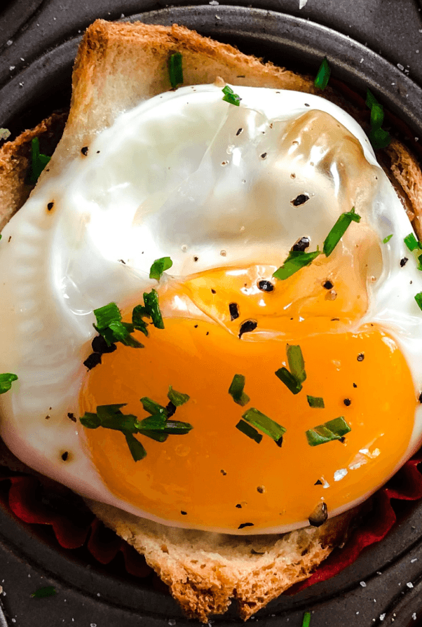 Next.js Restaurant CMS